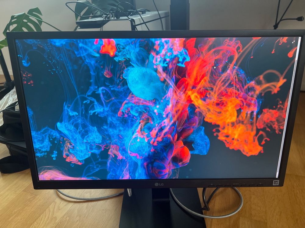 LG PC Monitor 24BK55 24 zoll / 60 cm (Gebraucht) in Zürich für CHF 10 ...