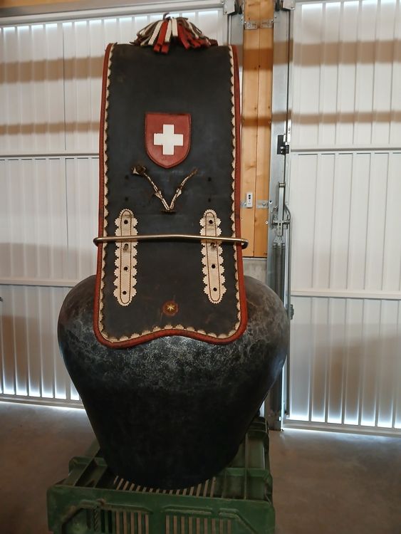 Bartenbach Treichel Nr. 11 (Gebraucht) in Guggisberg für CHF 800 – mit ...