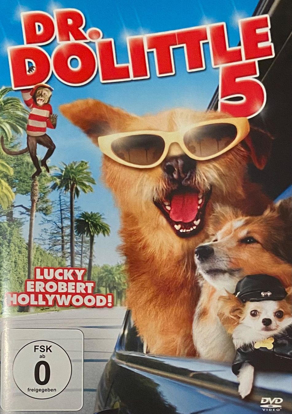 Dr. Dolittle 5 • DVD (Gebraucht) in Luzern für CHF 4.55 – mit Lieferung ...