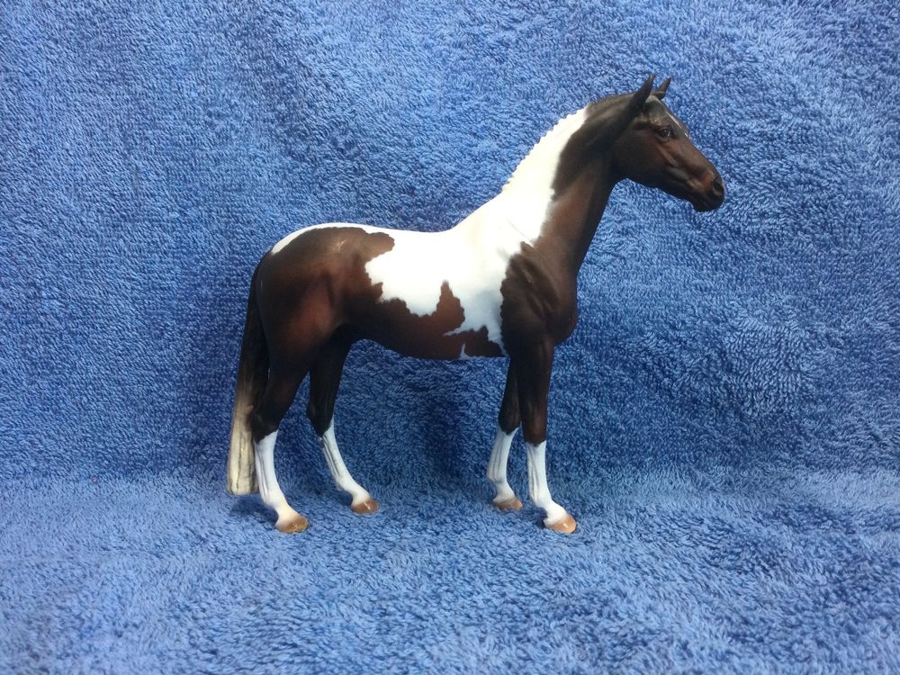 WIA Lancelot Bay Pinto. (Gebraucht) in Biel/Bienne für CHF 20 – mit ...