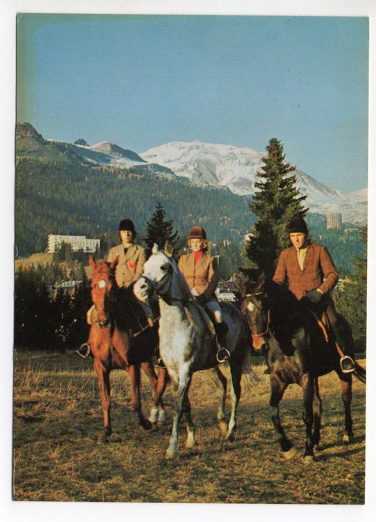 CHANDOLIN Reitausflug auf dem Haut-Plateau (Gebraucht) in Jona für CHF 5.9 – mit Lieferung auf ...