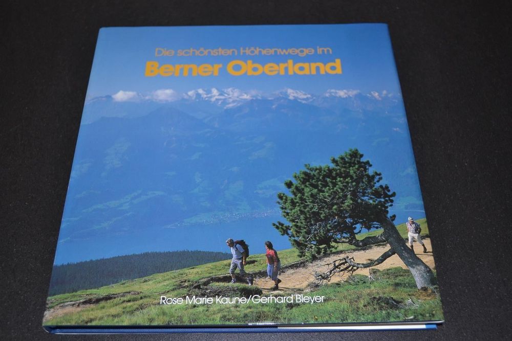 DIE SCHÖNSTEN HÖHENWEGE BERNER OBERLAND (Gebraucht) in Strengelbach für CHF 1 – mit Lieferung ...