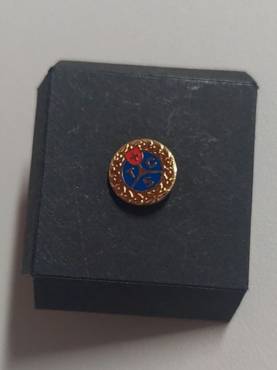 Pin TCS | Kaufen auf Ricardo