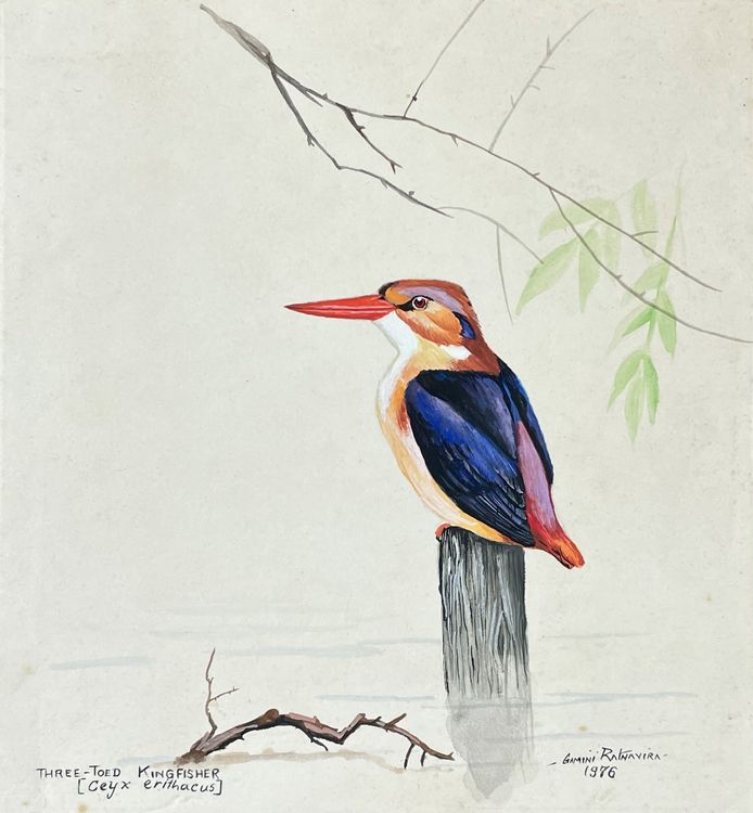 Gamini P. Ratnavira (1949) Aquarell | Kaufen auf Ricardo