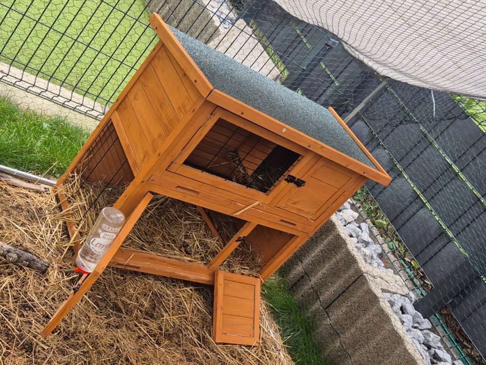 Niche douillette pour rongeurs - Idéale pour l'été! (D'occasion) à ...