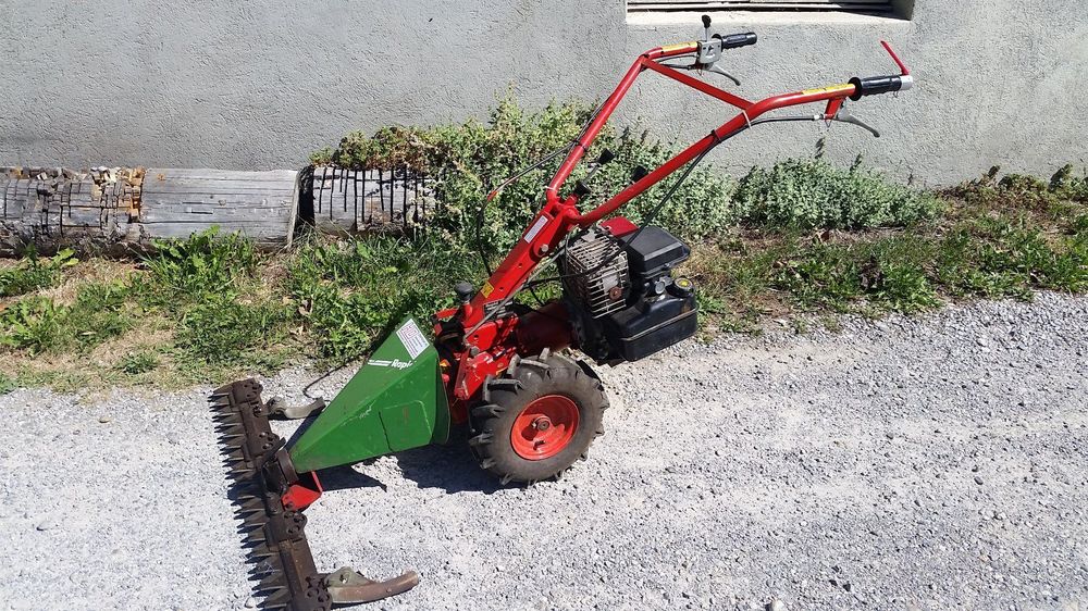 Motormäher Rapid BM 116 (Gebraucht) in Dietlikon für CHF 820 – mit ...