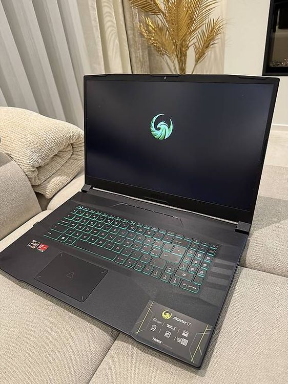 Laptop Alpha 17 AMD Ryzen inkl. Zubehör (Neu (gemäss Beschreibung)) in ...