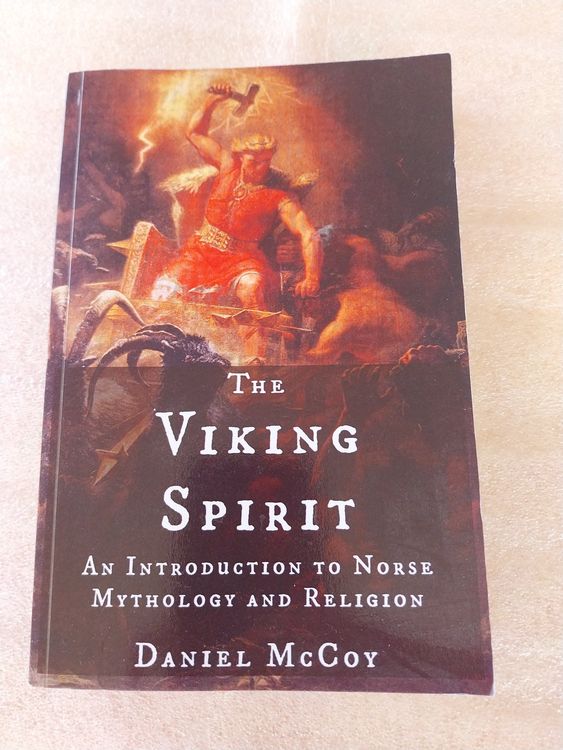 The Viking Spirit Daniel McCoy (Gebraucht) in Schwaderloch für CHF 9 – mit Lieferung auf Ricardo ...