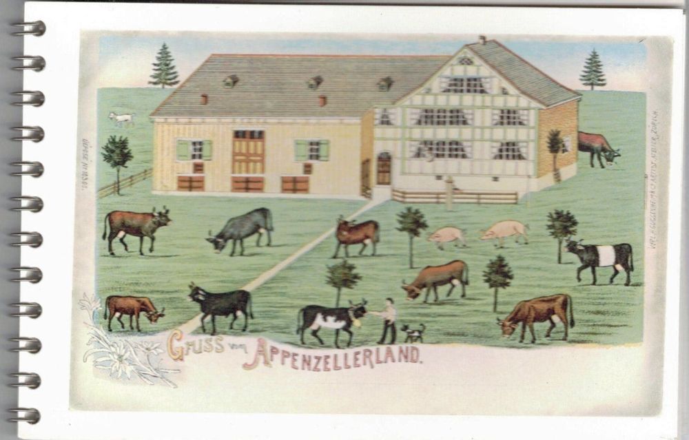 Appenzell 10 AK Trachten Folklore Tiere (Neu (gemäss Beschreibung)) in ...