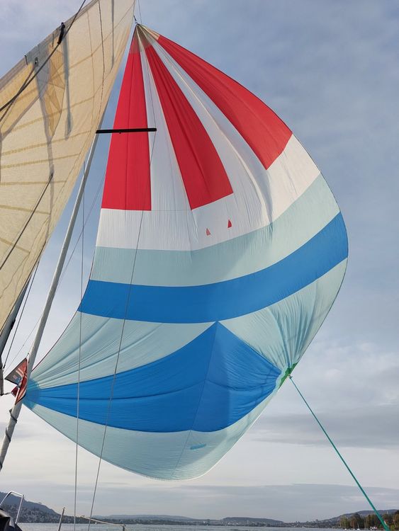 Spinnaker Tri-radial | Kaufen auf Ricardo