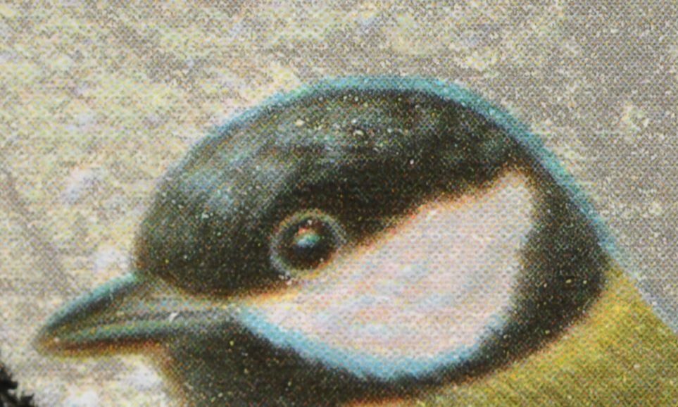 Abart Vogel Kohlmeise mit blauem Kopf (Gebraucht) in Worb für CHF 14 – mit Lieferung auf Ricardo ...