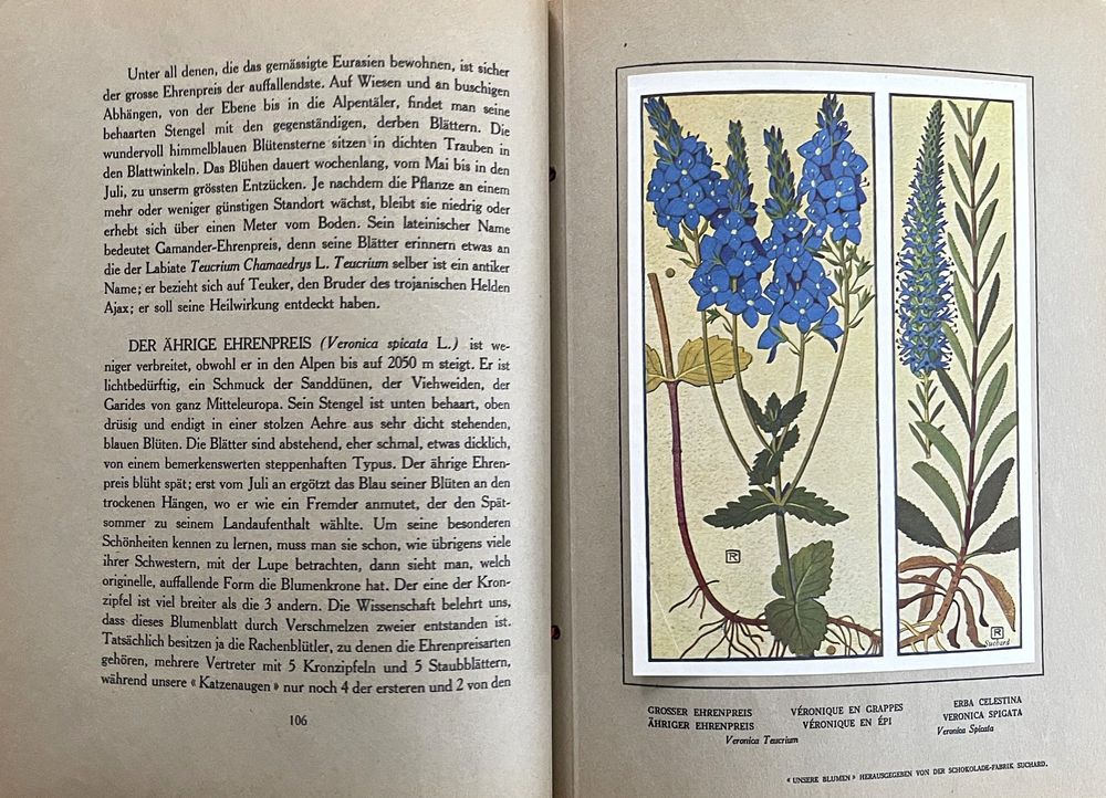 Unsere Blumen - Philippe Robert | Kaufen auf Ricardo