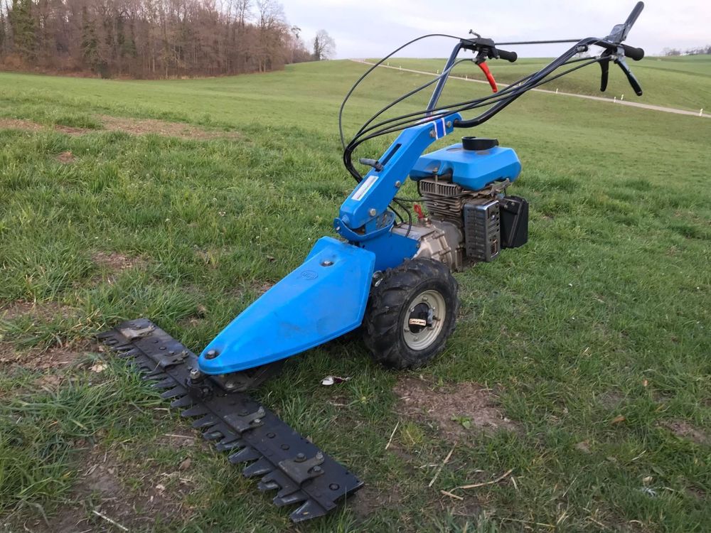 BCS 205 (Gebraucht) in Wil für CHF 310 – nur Abholung auf Ricardo kaufen