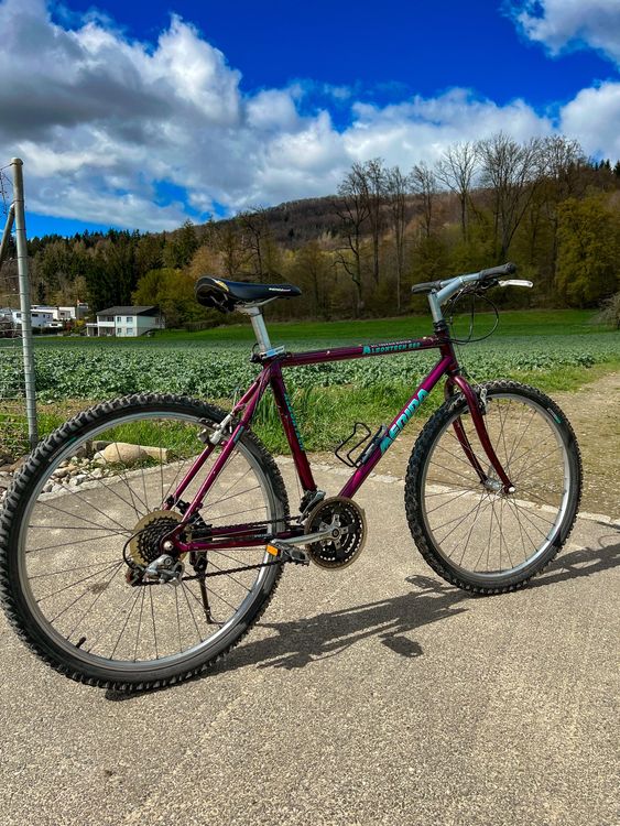 Oldschool Merida CityBike Umbau (Gebraucht) in Aarau für CHF 120 – nur ...