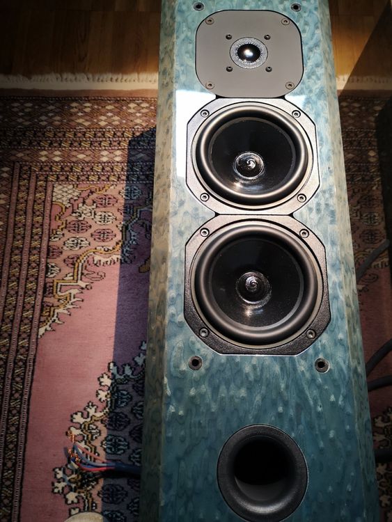 Bolero Grande von Acustik Lab, Swiss Made (Gebraucht) in Bern für CHF ...