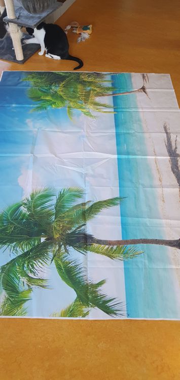 Strand Fotohintergrund Palmen Meer Ferien Deko (Neu (gemäss Beschreibung)) in Wald zh für CHF 3 ...