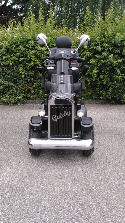 Elektromobile Gatsby X (Gebraucht) in Wangen an der Aare für CHF 1300 ...