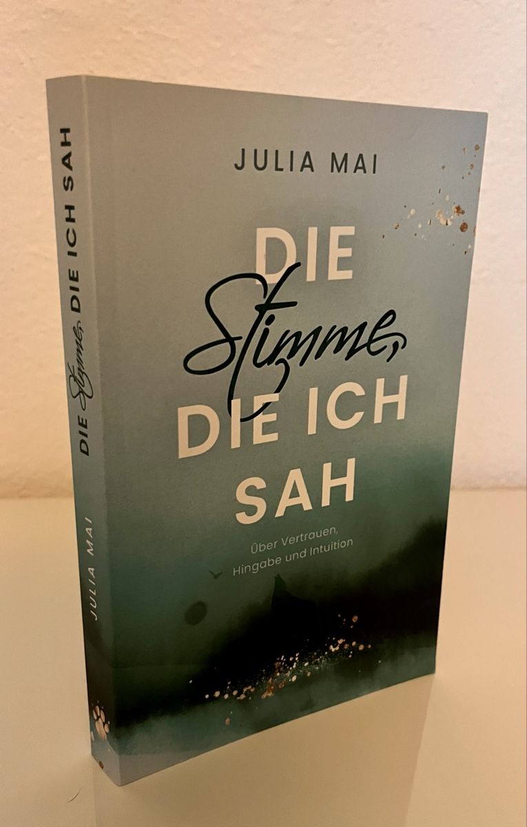 Die Stimme, die ich sah (Gebraucht) in Dielsdorf für CHF 8 – mit ...