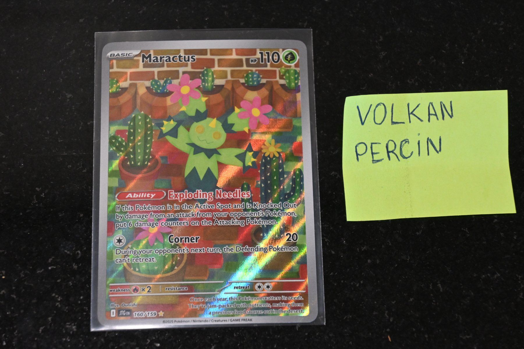Maractus #160 Pokemon Journey Together (Neu (gemäss Beschreibung)) in ...