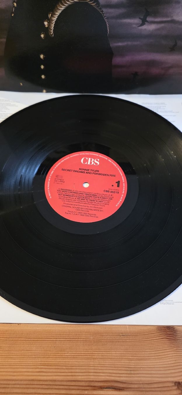 Bonnie Tyler - Secret Dreams and forbidden fire 1986 Nm,Nm (D'occasion ...