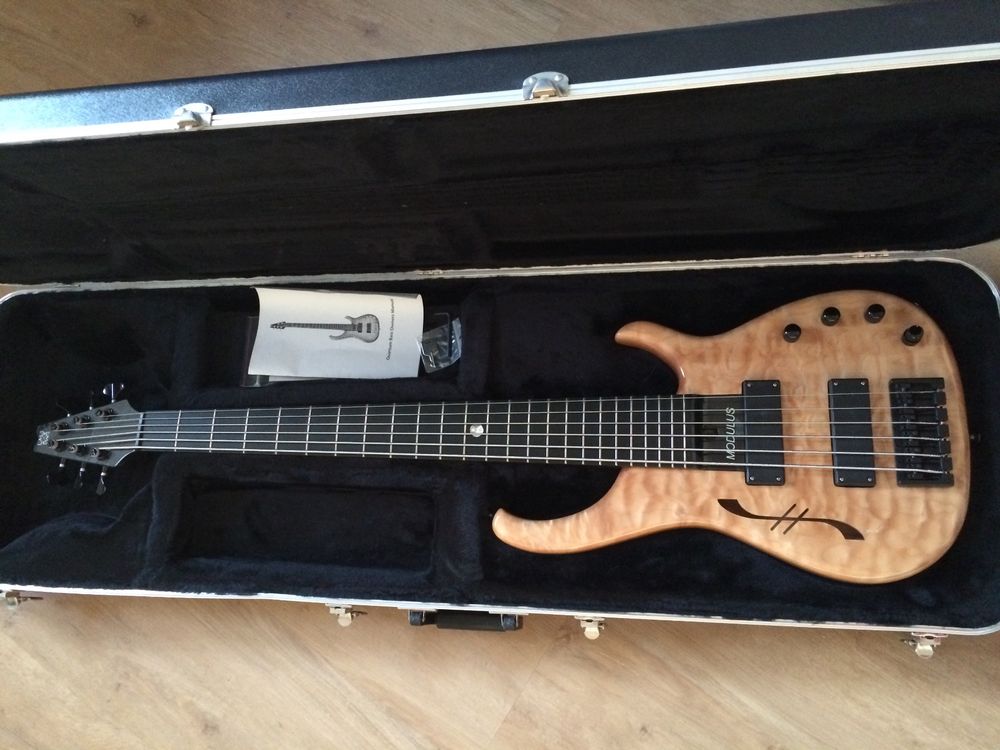 E-Bass MODULUS QUANTUM 6 (semi hollow body) (Gebraucht) in Zuchwil für ...