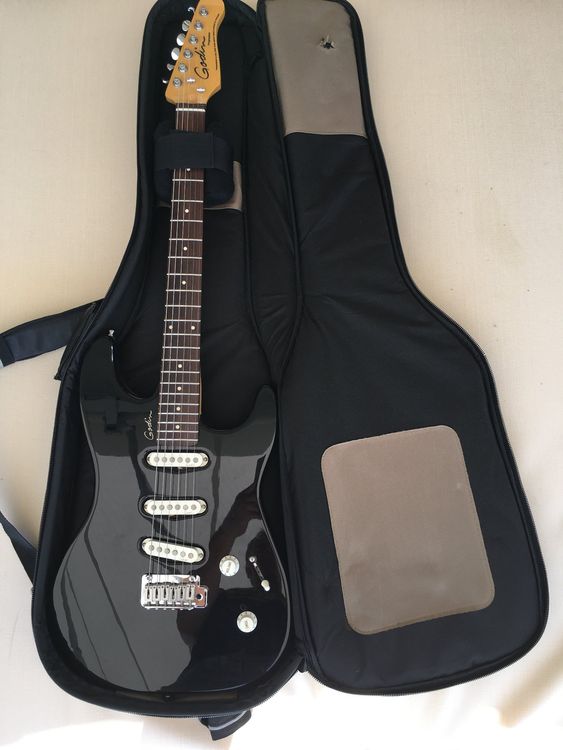 Godin Guitar | Kaufen auf Ricardo
