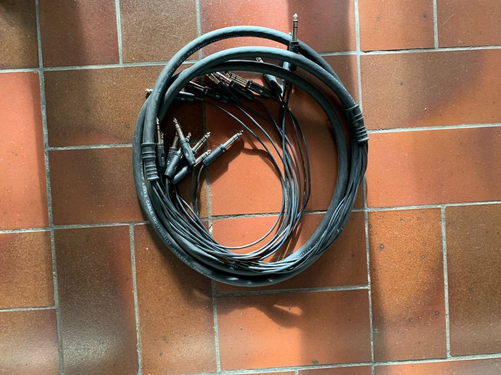 8 Channel Audio Snakes (Gebraucht) in Cugnasco für CHF 60 – mit ...