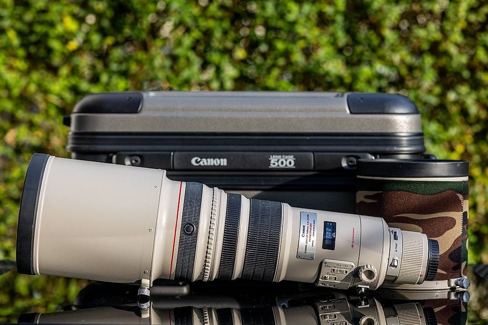 Canon EF 500 f4.0 L IS USM (Usato) a Niederglatt ZH per CHF 1850 – solo ...