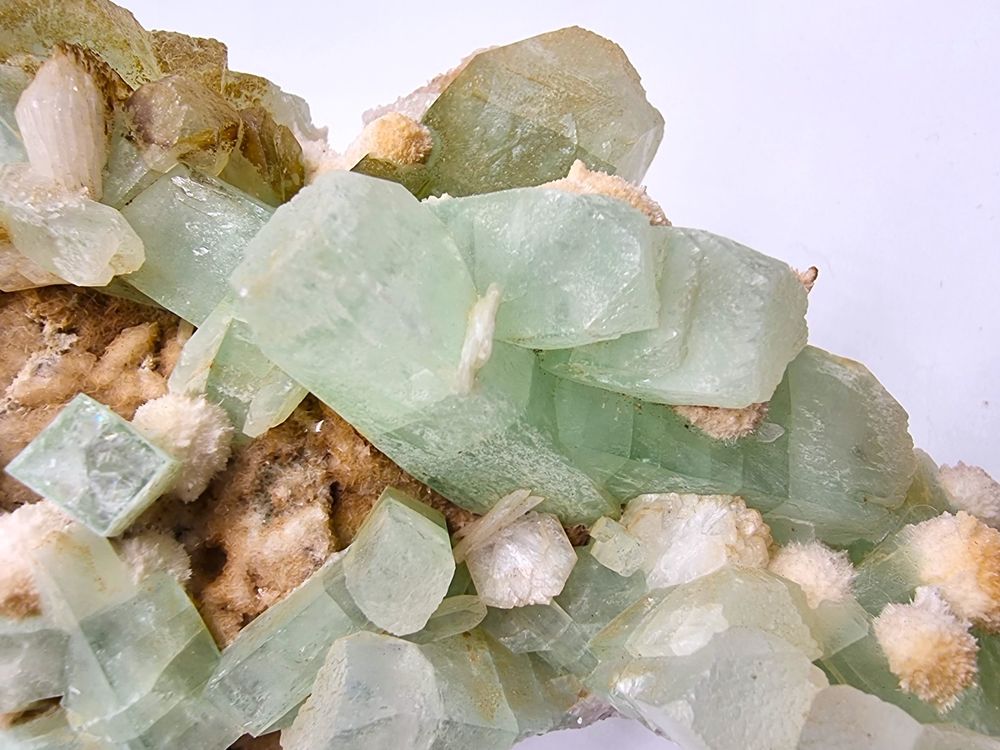 Green Apophyllite with white Mordenite on Matrix, India | Kaufen auf ...