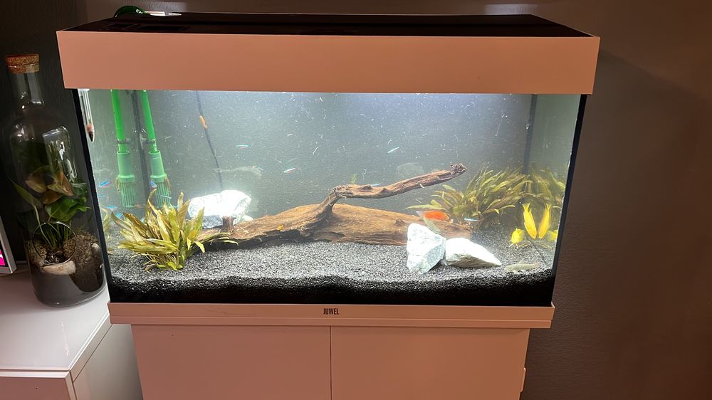 Aquarium Juwel Rio 125 Liter | Kaufen auf Ricardo