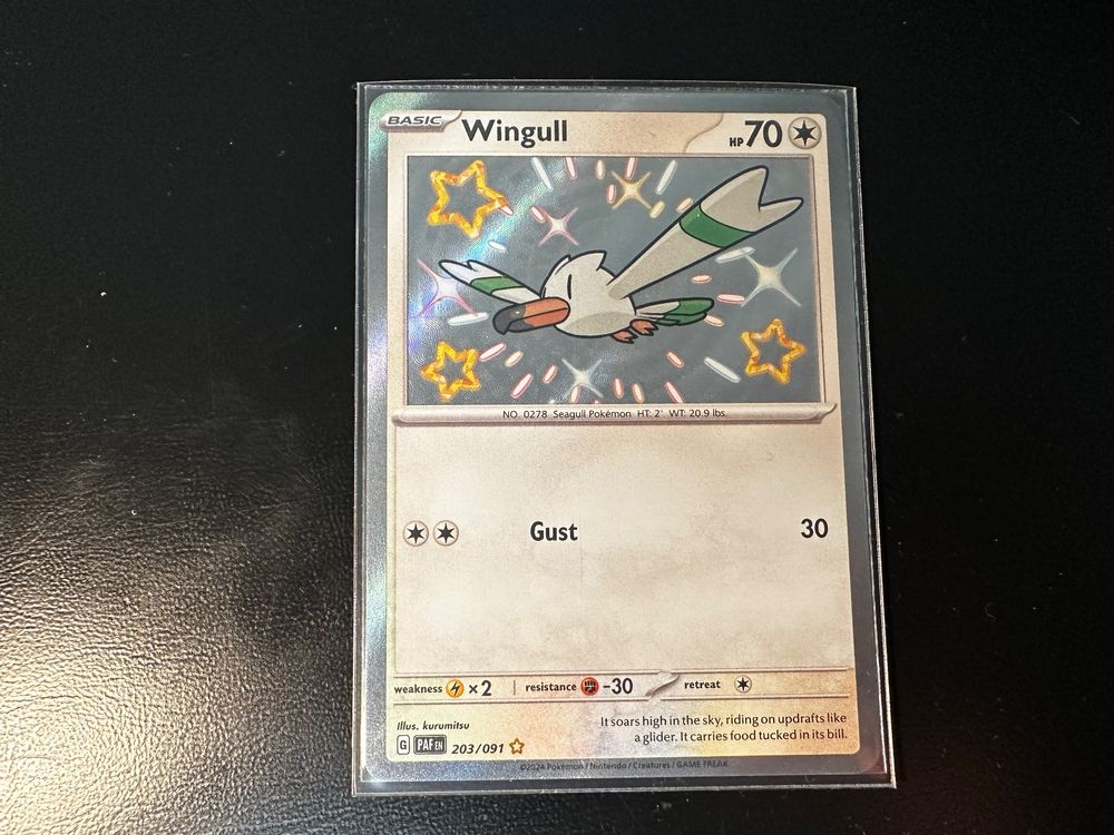 Wingull Baby Shiny 203/091 Pokémon Paldean Fates | Kaufen auf Ricardo