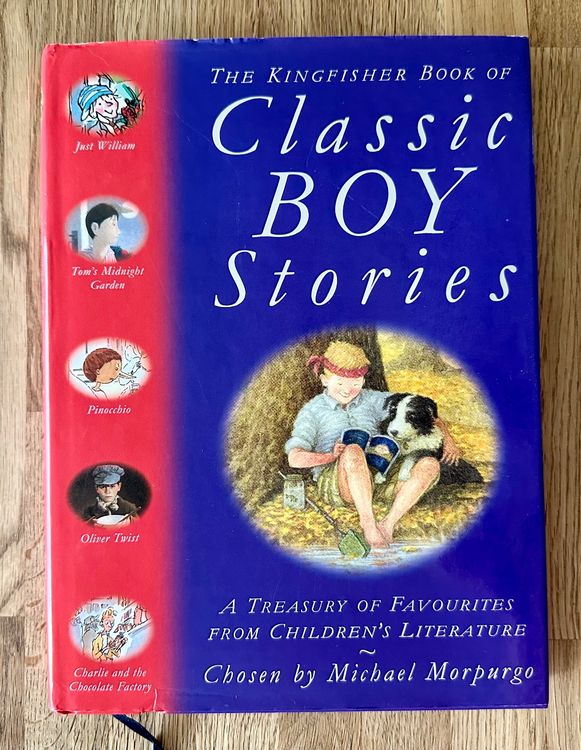 English book- Classic BOY Stories | Kaufen auf Ricardo