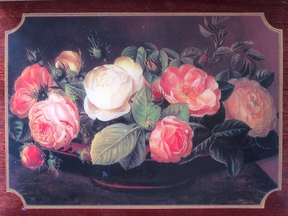 ARDLEIGH & ELLIOTT Rosen-Träumereien (Gebraucht) in Bern für CHF 19 ...