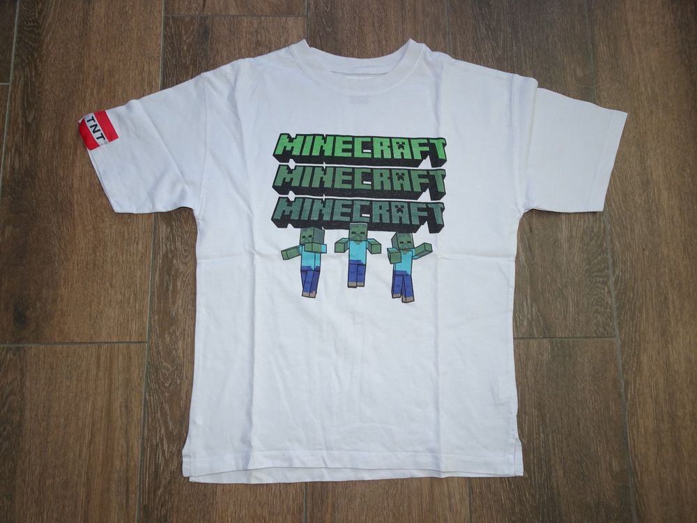 ZARA MINECRAFT (Gebraucht) in für CHF 2.65 – mit Lieferung auf Ricardo ...