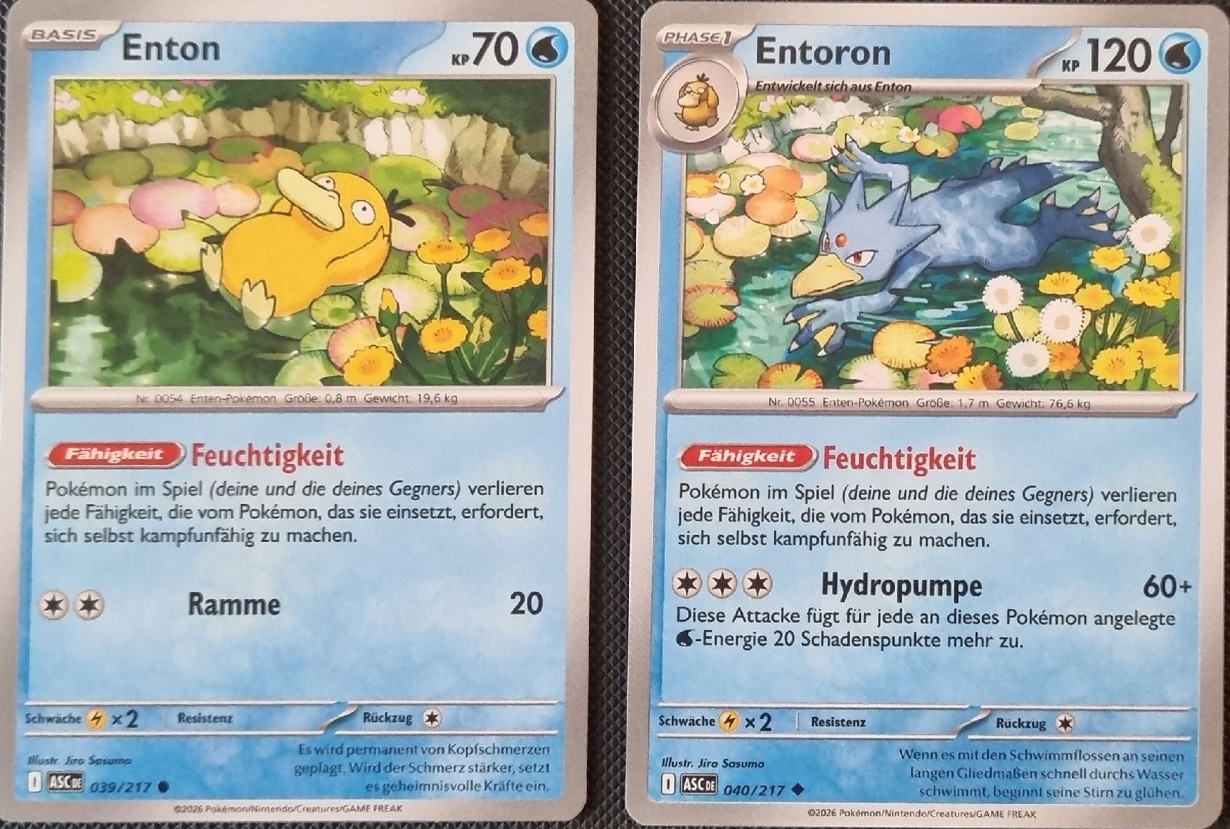 Pokemon Ascended Heroes Enton & Enteron (Neu (gemäss Beschreibung)) in ...