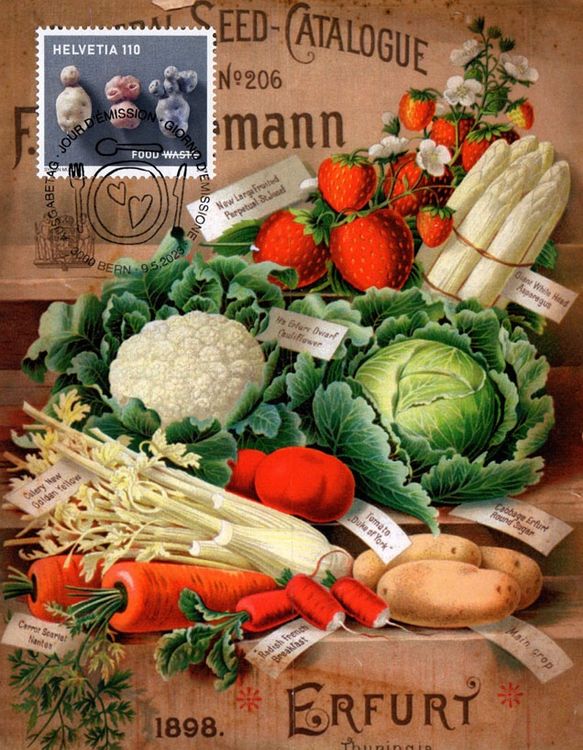 Maximumkarte No Food Waste (Neu (gemäss Beschreibung)) in Dottikon für CHF 4 – mit Lieferung auf ...