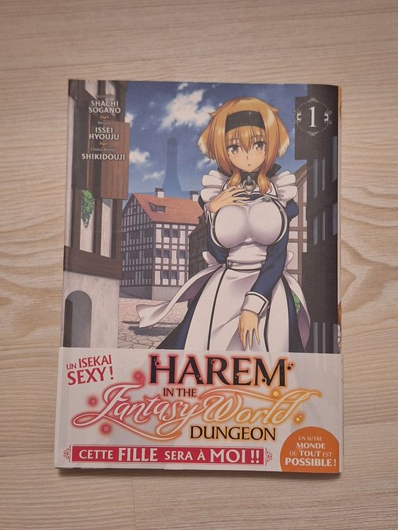 Harem in the fantasy world dungeon Tomes 1 à 6 (Neu (gemäss Beschreibung)) in Corgémont für CHF ...