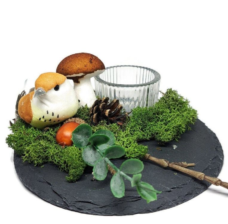 Herbst Deko, Moos, Pilz, Vogel Handgemacht (Neu (gemäss Beschreibung)) in Nussbaumen AG für CHF ...