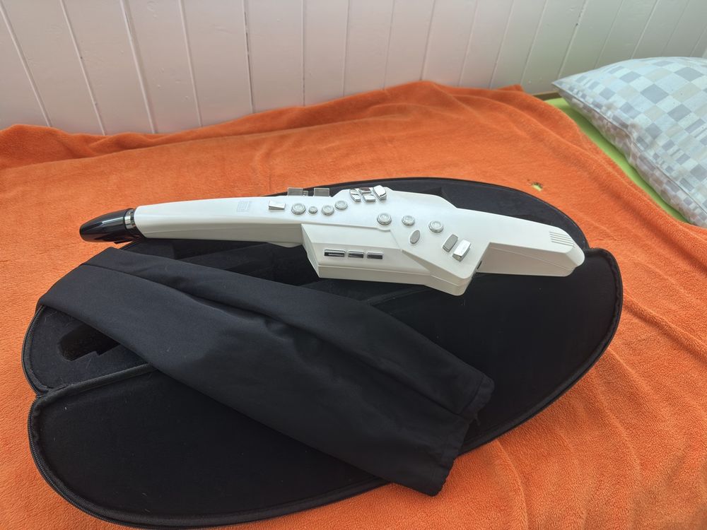 Blaswandler Roland AE-10 (Gebraucht) in Rüti ZH für CHF 300 – mit ...