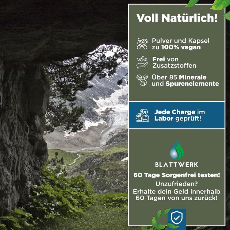 Himalaya Shilajit 1300 mg – 180 Kapseln, DE Labor geprüft (Neu und ...