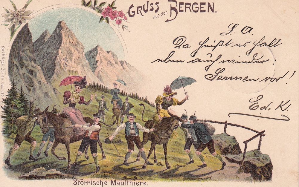 Lichtensteig SG - Störrische Maultiere / mulets um 1898 | Kaufen auf ... Lichtensteig SG - Störrische Maultiere / mulets um 1898 | Kaufen auf ...