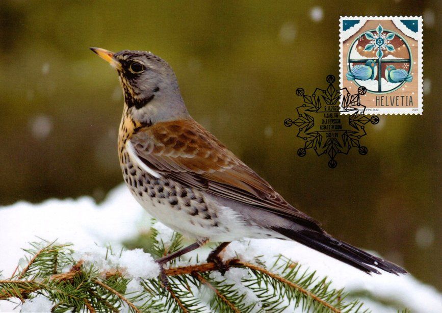 Maximumkarte Weihnachten 2023 - Vögel (Neu (gemäss Beschreibung)) in Dottikon für CHF 5 – mit ...