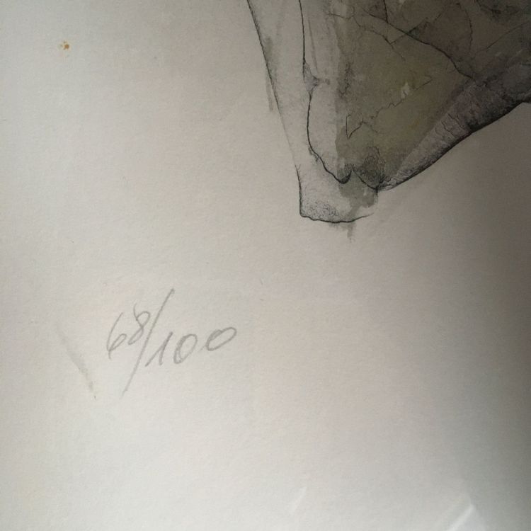 Original Lithographie von Dea Murk, Schweiz | Kaufen auf Ricardo