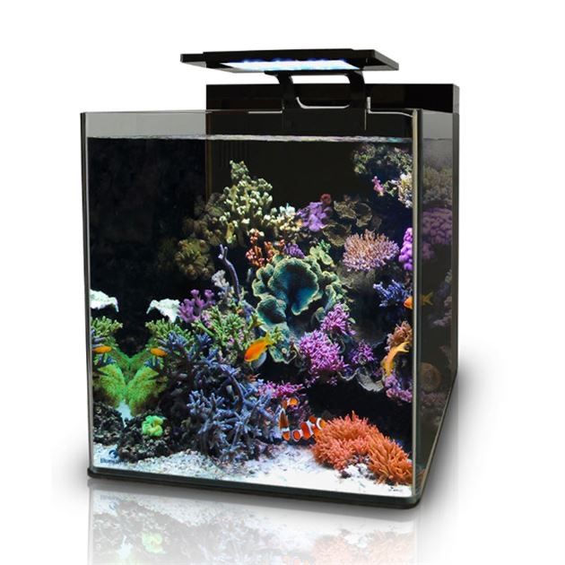 Neues Meerwasser Aquarium Set (Neu und originalverpackt) in Zürich für CHF 239 – nur Abholung ...