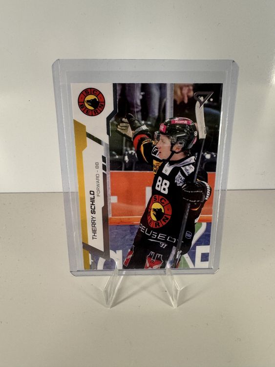 090 Thierry Schild SC Bern Sammelkarte NL 2024/25 SportZoo (Neu (gemäss Beschreibung)) in Zug ...