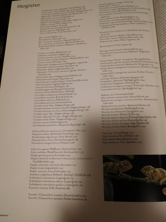 REPTILIEN, Knesebeck, Starosta, Schlangen, 2004, wie NEU!!! (Neu (gemäss Beschreibung)) in Olten ...