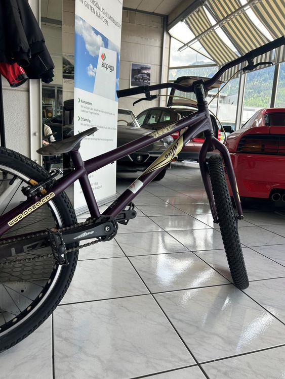 Trialbike Onza Zoot (Gebraucht) in Weite für CHF 50 – nur Abholung auf ...