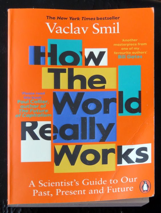 Vaclav Smil: How the World really works (Gebraucht) in Untersiggenthal ...
