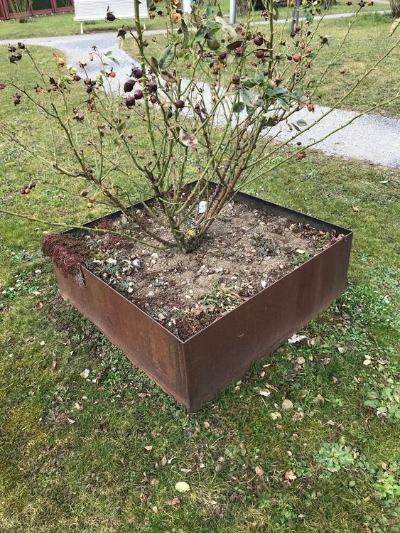 Metall-Rahmen für den Garten | Kaufen auf Ricardo