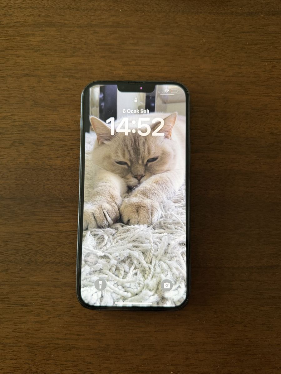 Apple iPhone 13 Pro Max 128 GB Sierra Blue (Gebraucht) in Zürich für ...